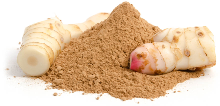 Galgant – zastosowanie, właściwości i działanie