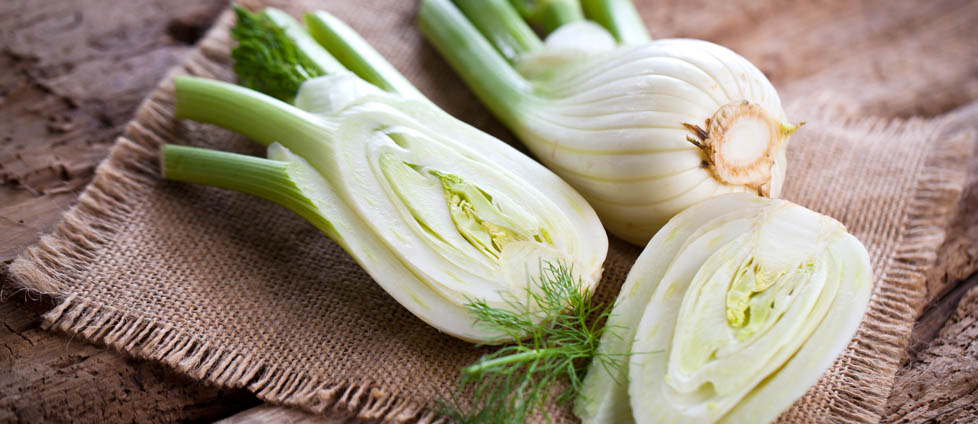 Koper włoski – jak zażywać